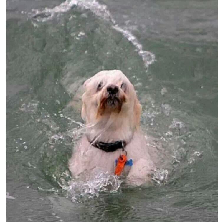 감동적인 청년 - NBA Mania