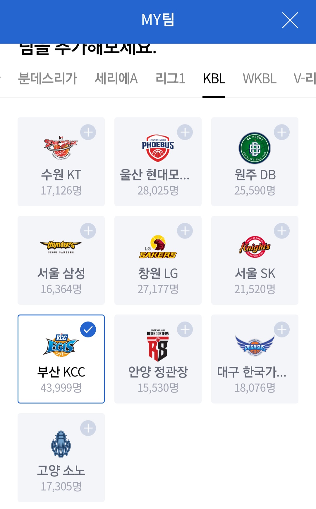 Kcc 인기가 원래 많았던건가요 - NBA Mania