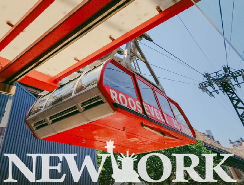 “NBA 역사상 최고 피지컬은 누구? 웸반야마 vs 르브론 ㄷㄷ TXT - MANIA