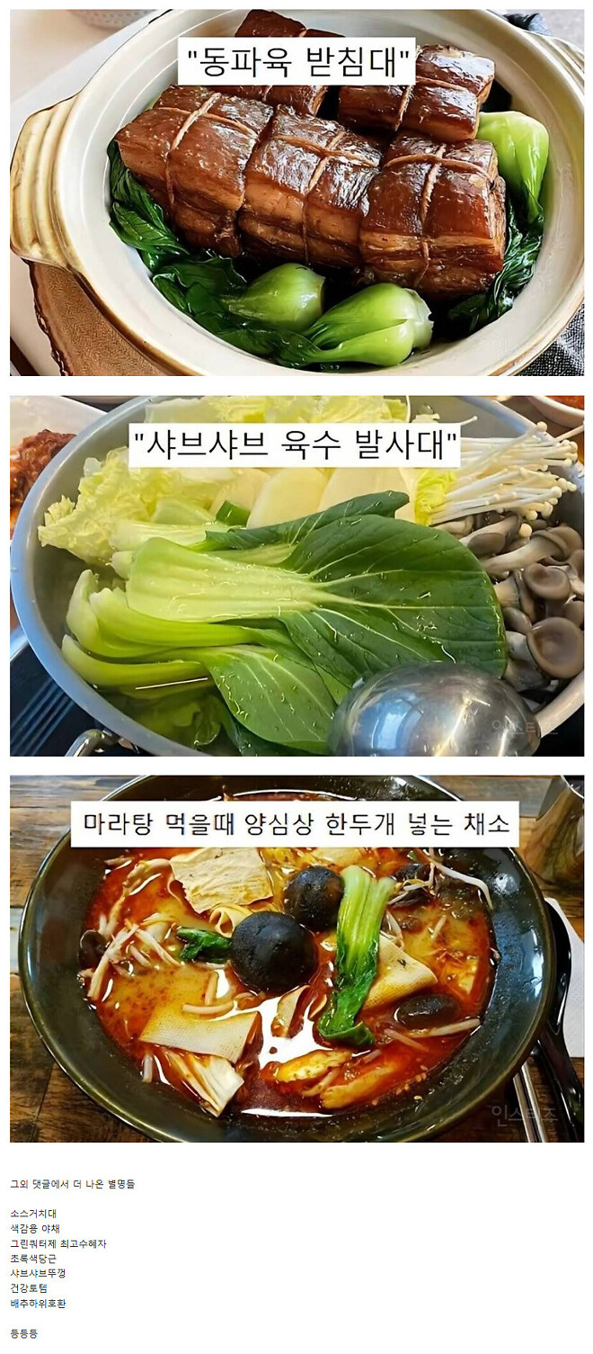 청경채의 모욕적인 별명들.JGP - 세리에매니아