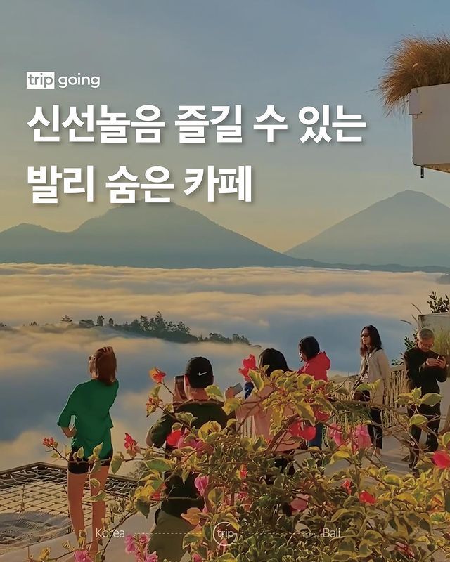 발리의 신선 카페 ㄷㄷㄷ - 세리에매니아