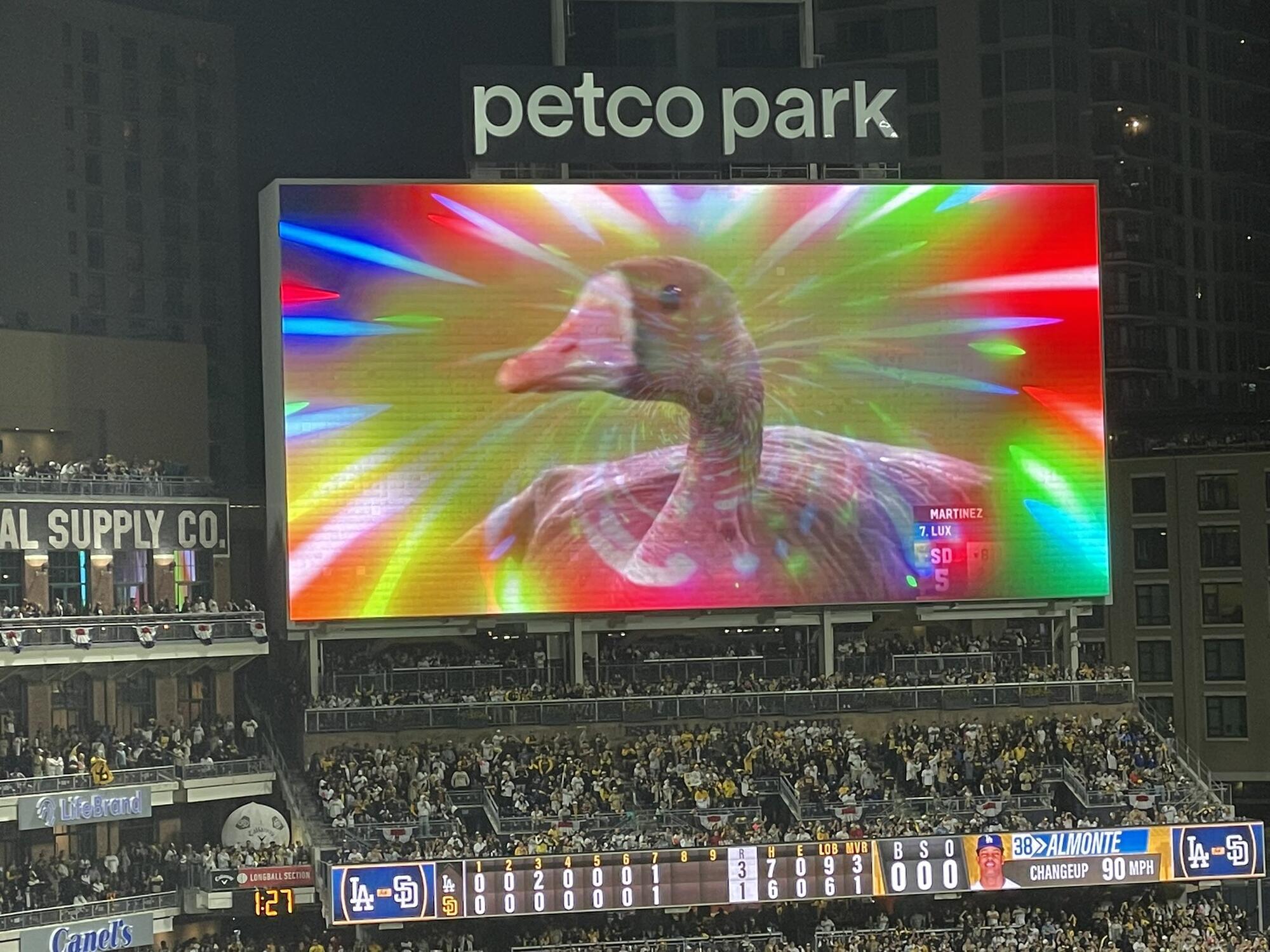 "The Rally Goose" - 세리에매니아