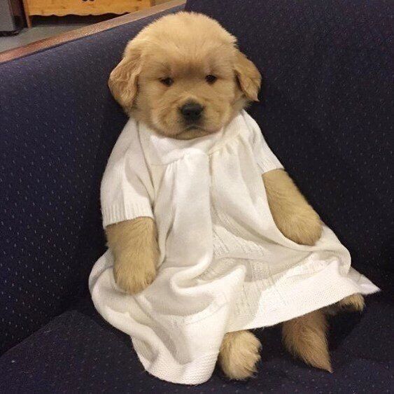 박나래, ‘4대 보험’ 매니저는 안 해주고 엄마·남친은 해줬다 - 세리에매니아