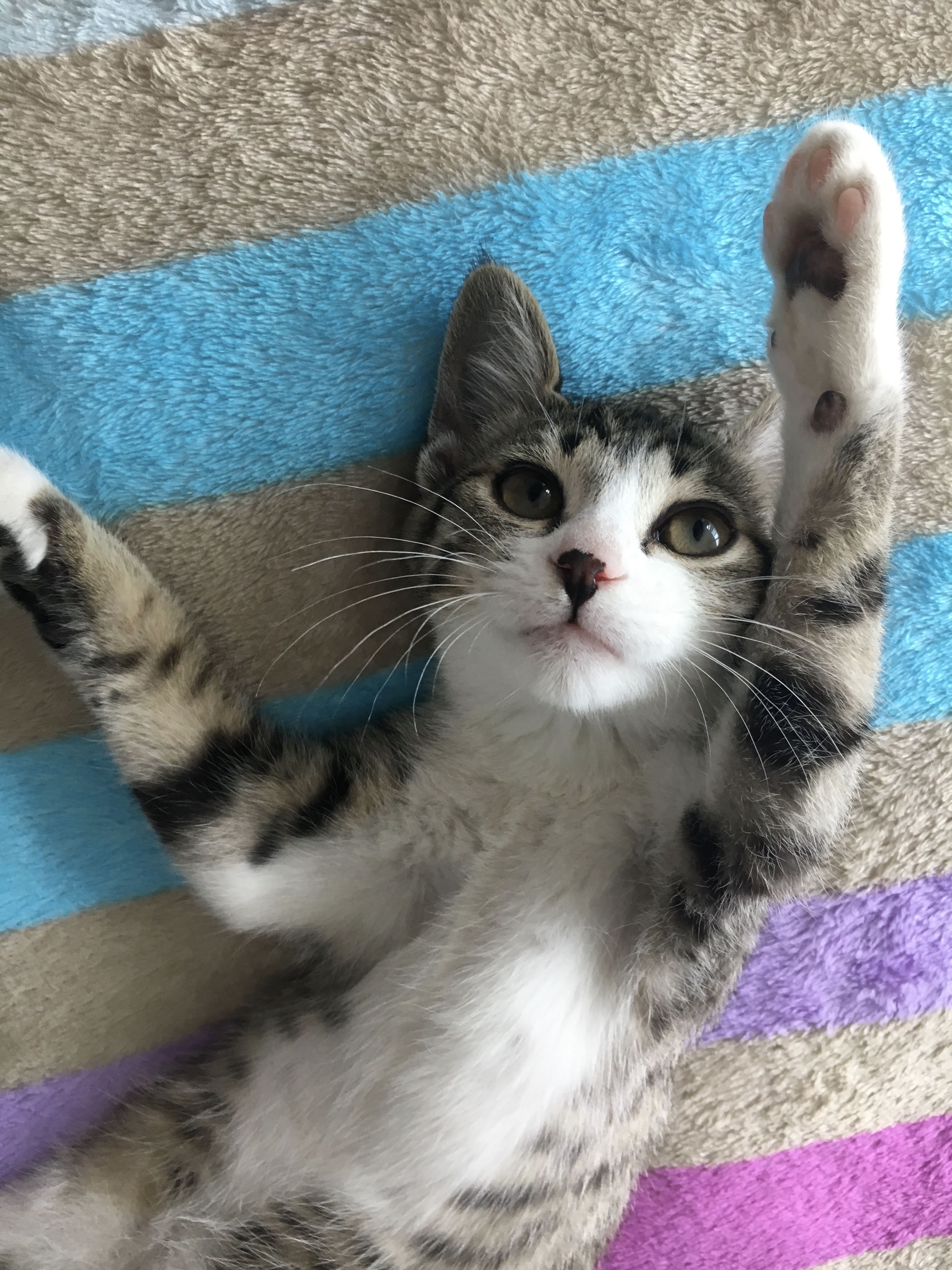 현직 도서관인데 황당한 아저씨 봤네요. - 세리에매니아