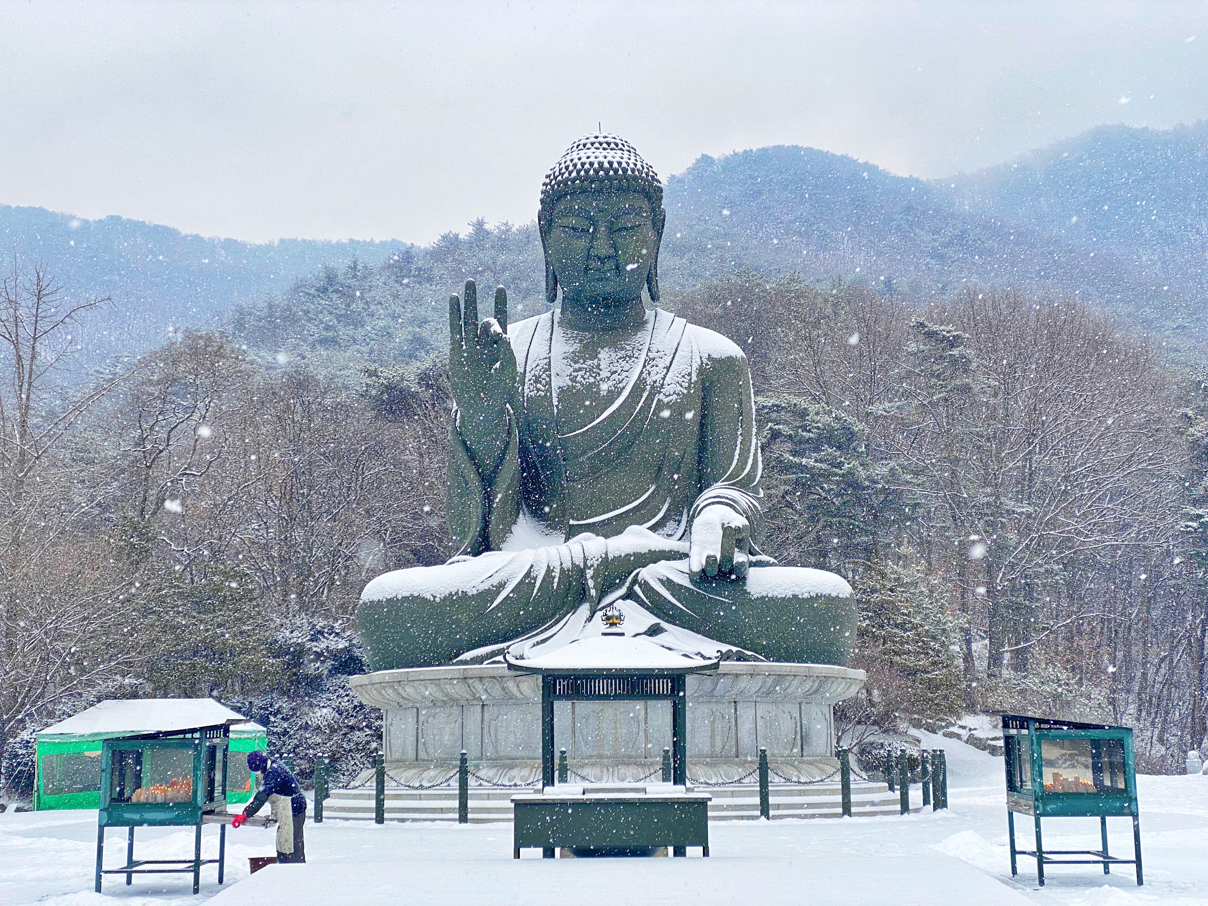 올해 배당 수익 - 위폴