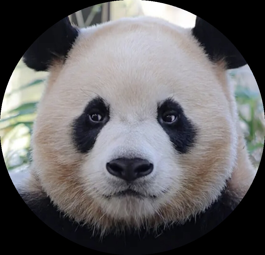 26' 북중미월드컵 때 마실 맥주는? 라피키의 STZ vs 전통의 BUD - 위폴